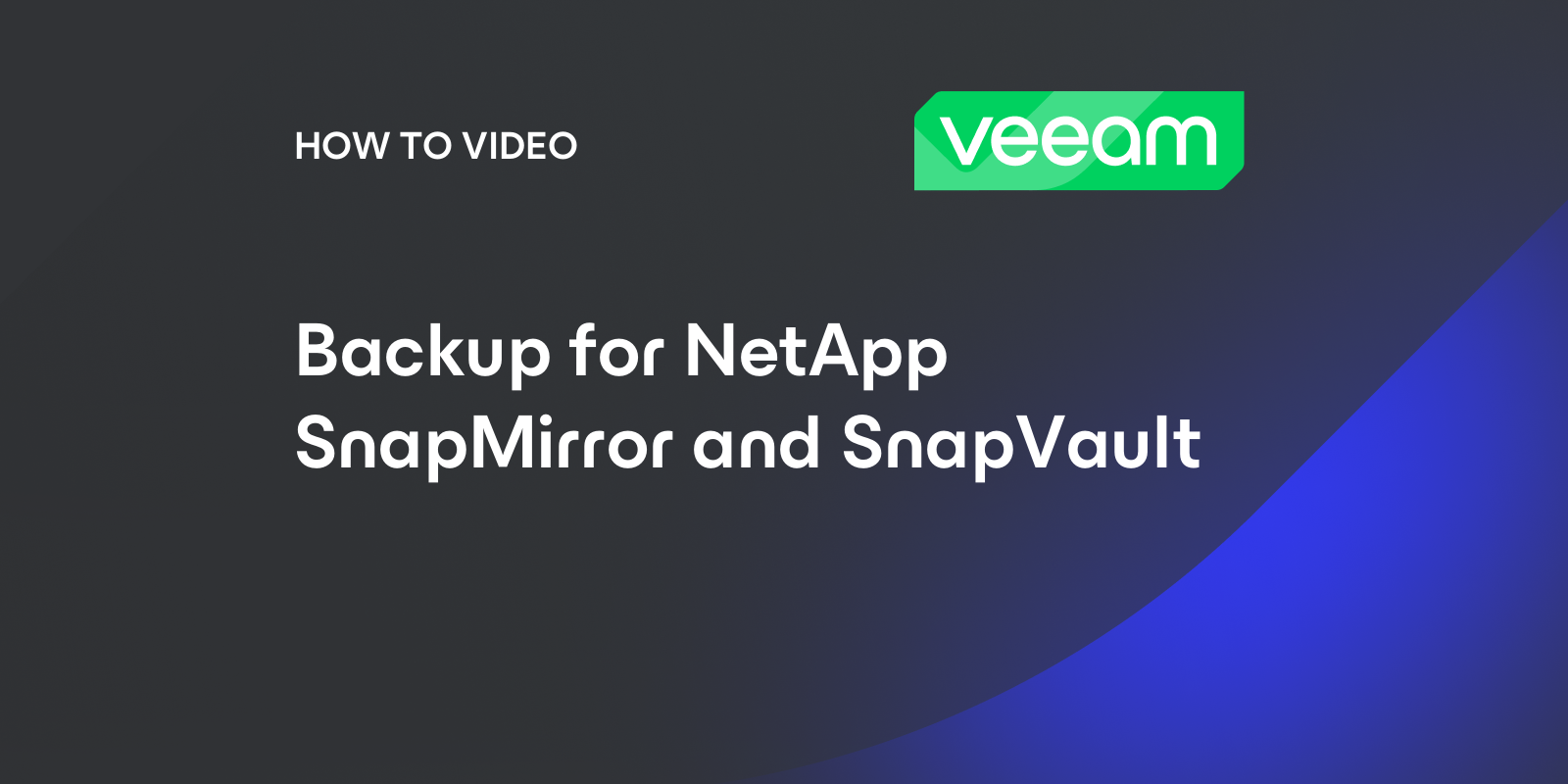 Backup For Netapp Snapmirror And Snapvault