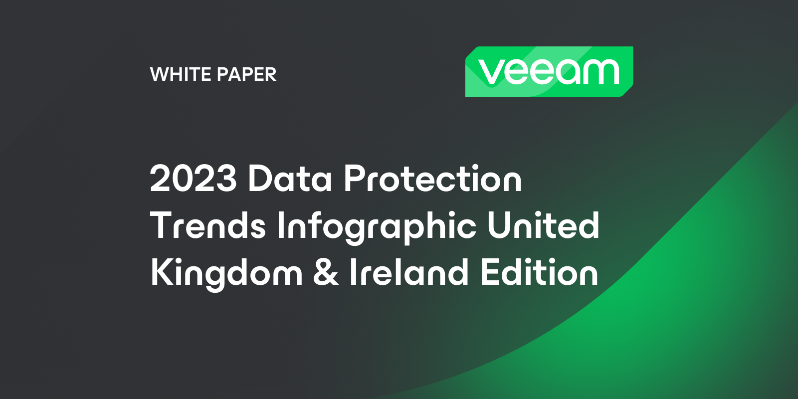 2023 Data Protection Trends Infographic United Kingdom & Ireland Edition